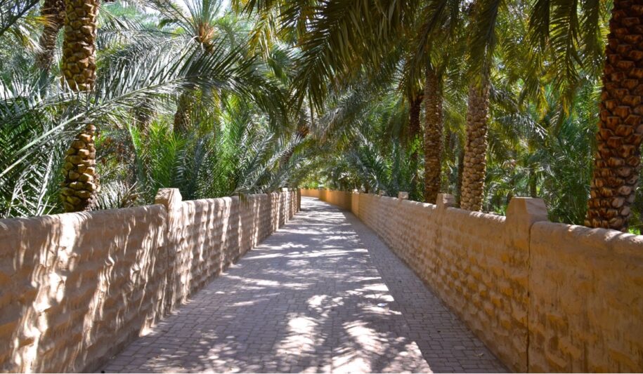 Oasis d'Al Aïn, l'oasis à découvrir aux Emirats Arabes Unis