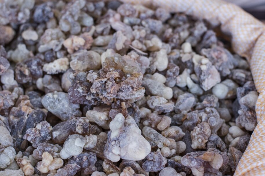 Visiter Salalah à Oman, la principale ville du gouvernorat du Dhofar