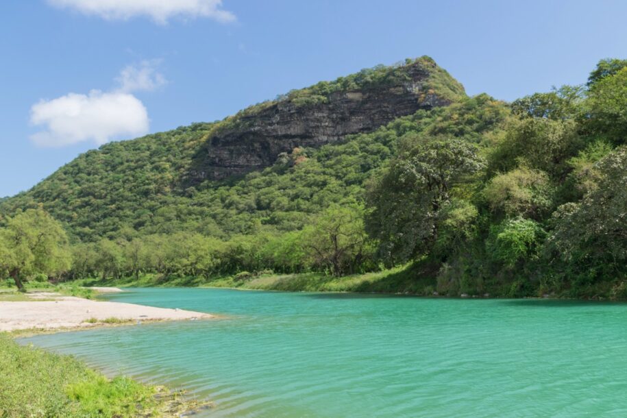 Dhofar à Oman : guide complet pour visiter le Dhofar au sud du sultanat