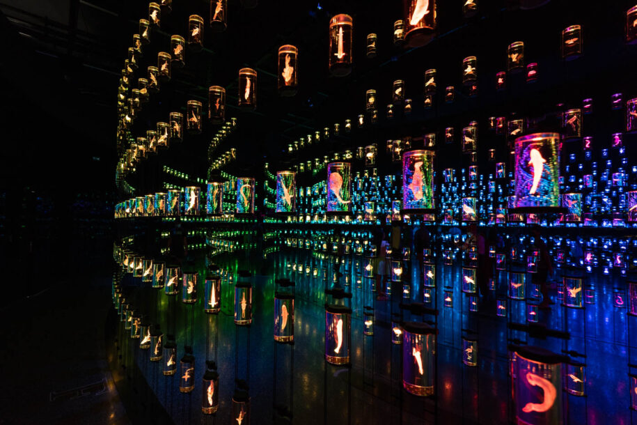 Visiter le musée du futur à Dubaï : prix, billets et horaires