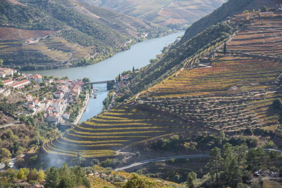Croisière sur le Douro depuis Porto : laquelle choisir