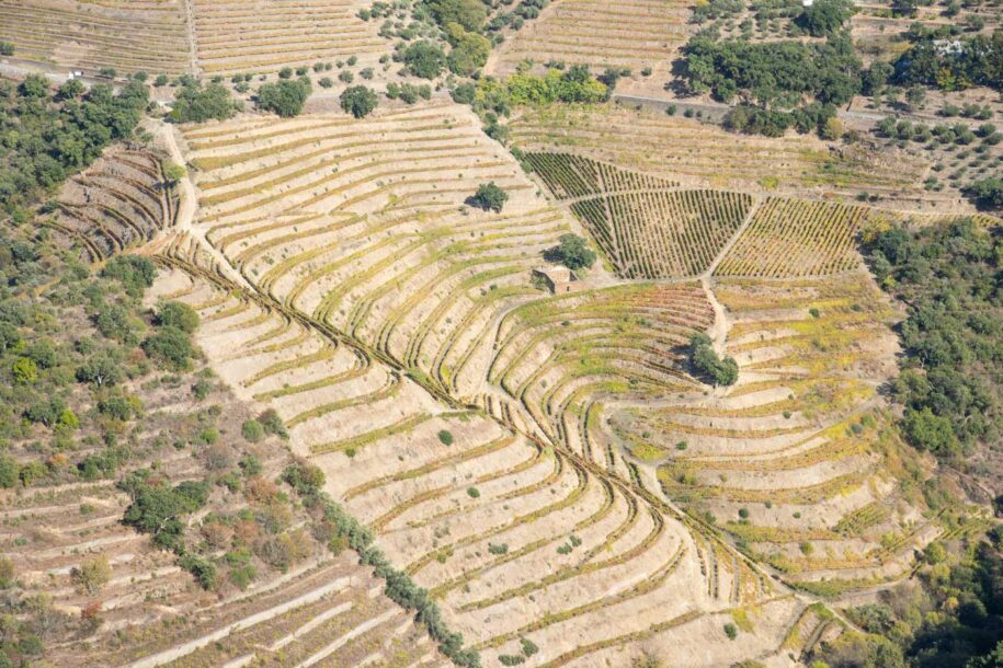 Croisière sur le Douro depuis Porto : laquelle choisir